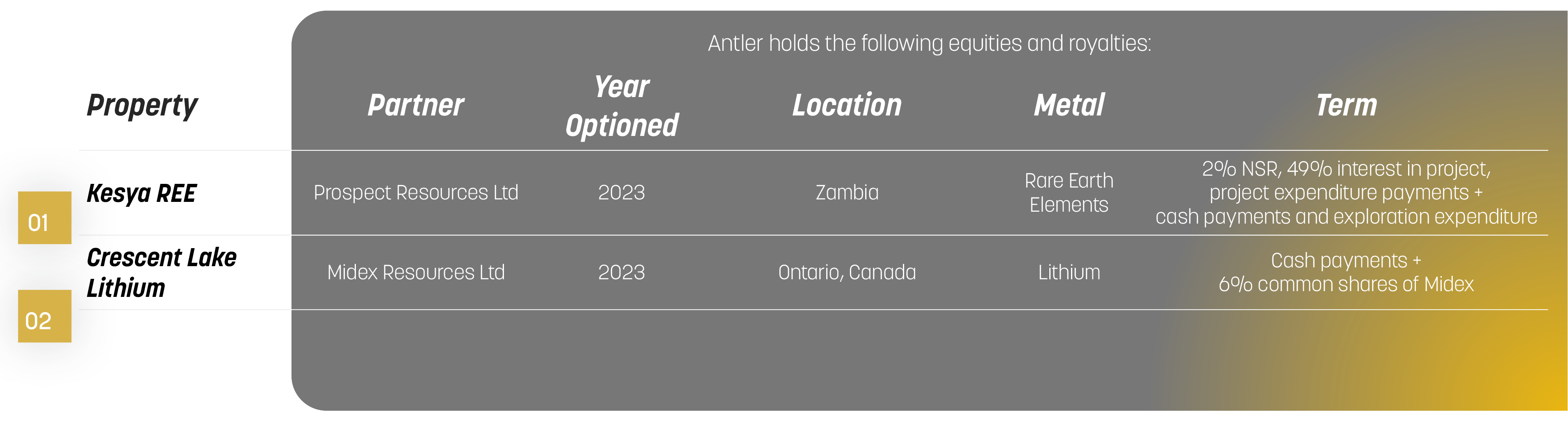 Project Generation | Antler Gold